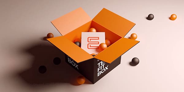 Tech Fit Box 2025 | Eviden